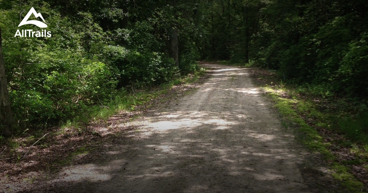 Best hikes and trails in Redden State Forest | AllTrails