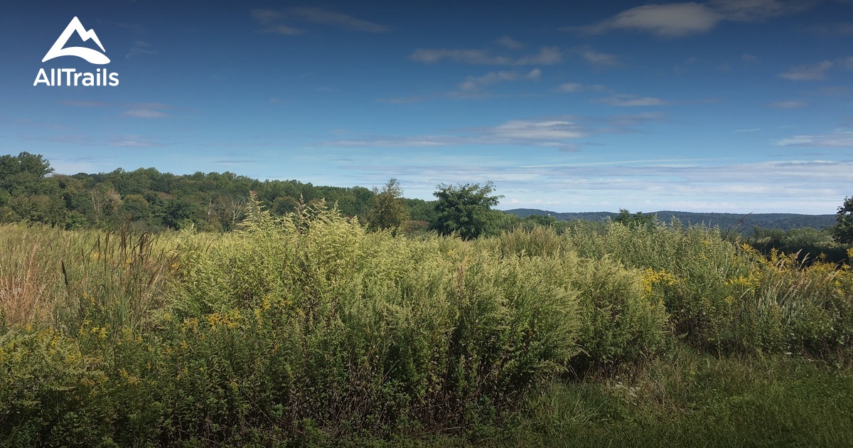 Teetertown Ravine Nature Preserve : les meilleurs itinéraires pour ...