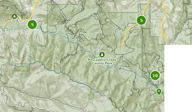 Best Trails in Pescadero Creek County Park - California | AllTrails