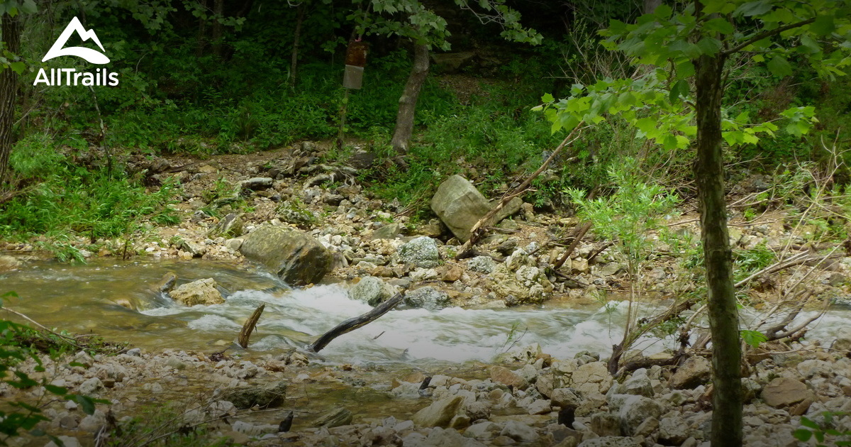 Best hikes and trails in Angeline Conservation Area | AllTrails