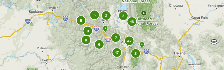 Best Trails in Lolo National Forest - Montana | AllTrails