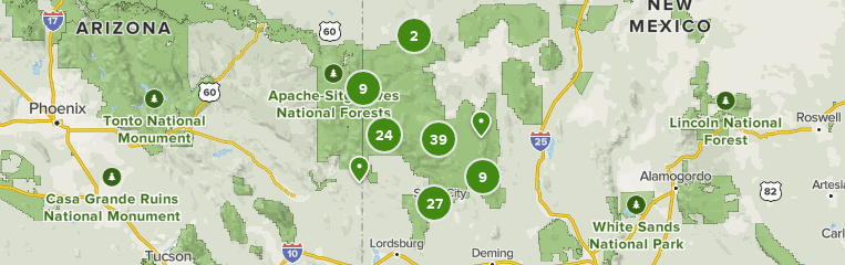 Best 10 Trails in Gila National Forest | AllTrails