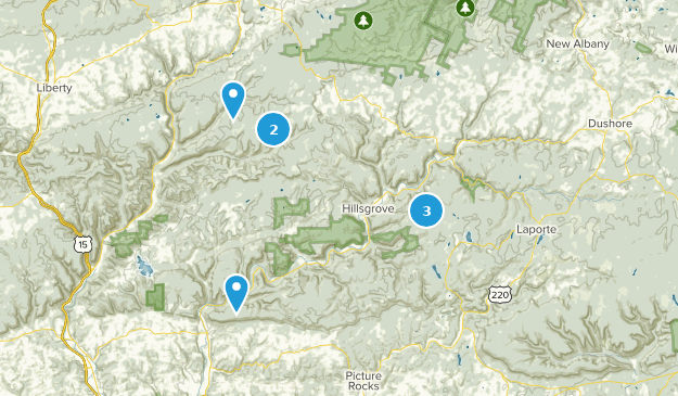 Best Trails in Loyalsock State Forest - Pennsylvania | AllTrails