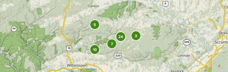 Best trails in Loyalsock State Forest, Pennsylvania | AllTrails