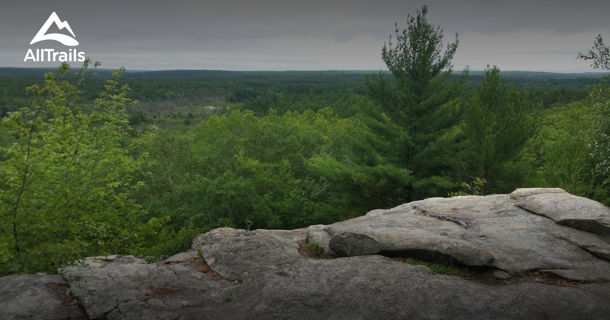 Best Trails in Pachaug State Forest - Connecticut | 205 Photos & 161 ...