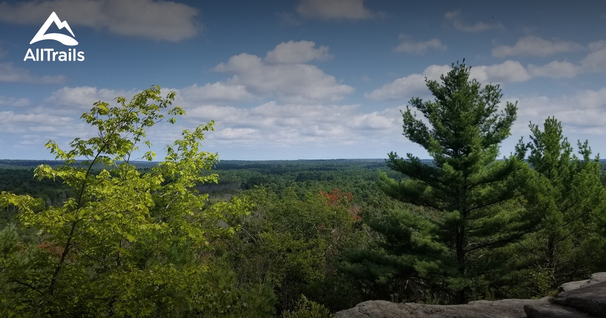 Best Trails in Pachaug State Forest - Connecticut | AllTrails