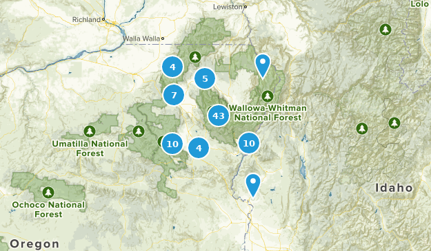 Best Trails in Wallowa Whitman National Forest - Oregon | AllTrails
