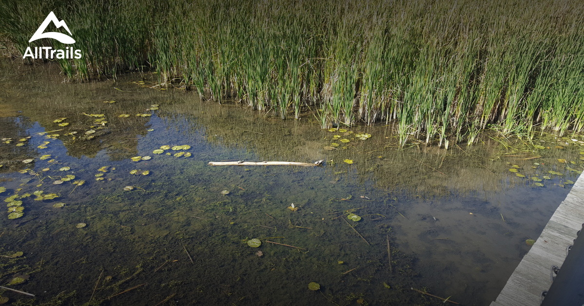 Best easy trails in Ontario Beach County Park | AllTrails