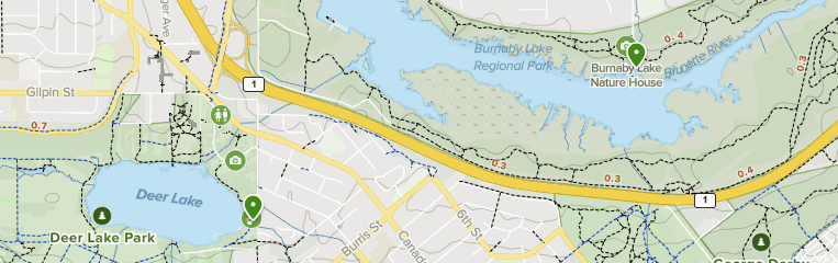 Best Trails in Deer Lake Park - British Columbia, Canada | AllTrails