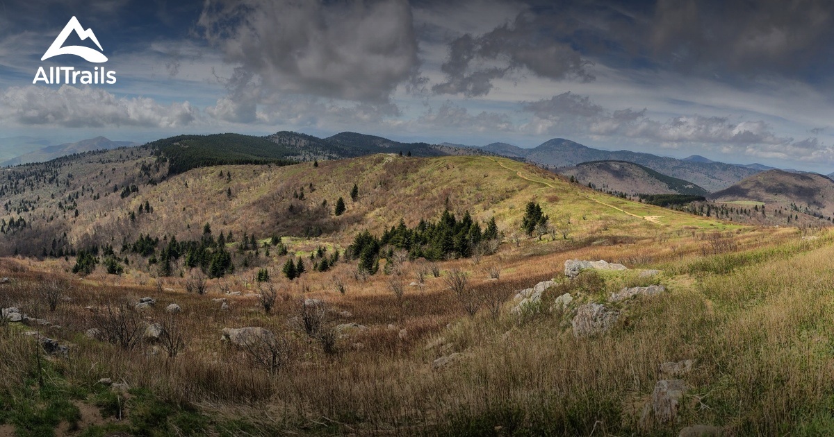 Best Trails in Shining Rock Wilderness Area - North Carolina | AllTrails