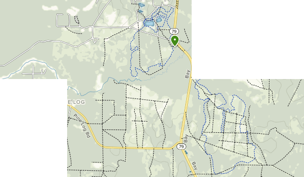 Best Trails in Pine Log State Forest - Florida | AllTrails