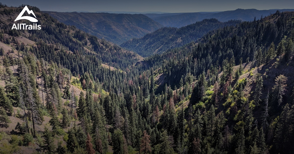10 Best hikes and trails in Umatilla National Forest | AllTrails