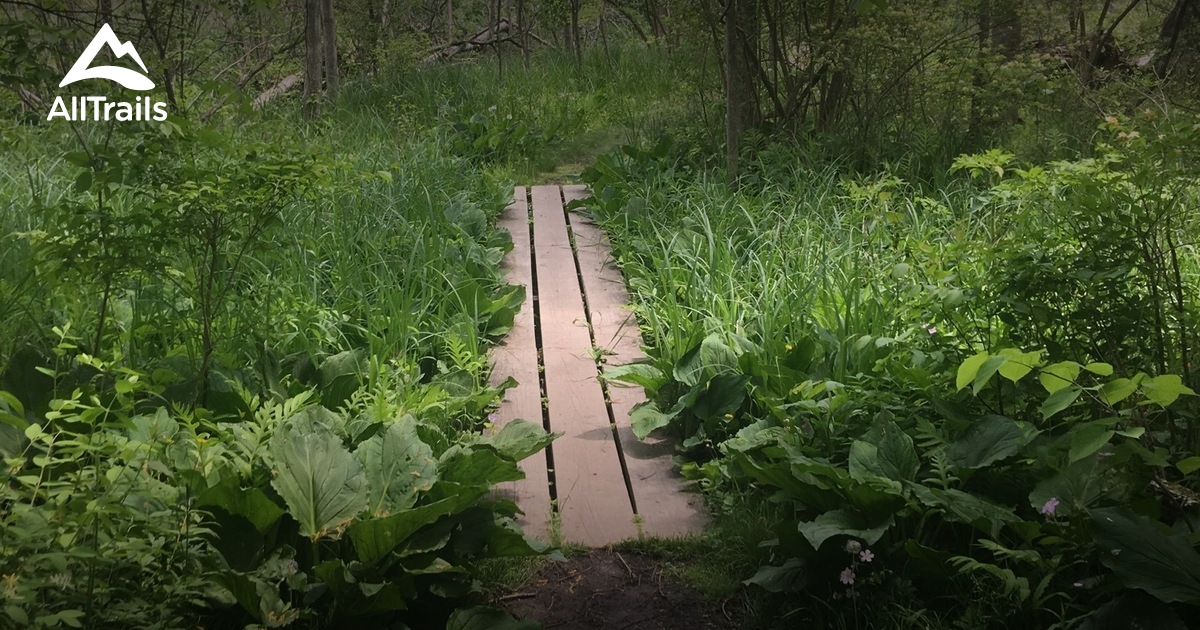 Best hikes and trails in Fishers Park | AllTrails