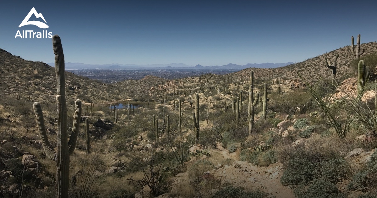 Best Trails in Coronado National Forest - Arizona | AllTrails