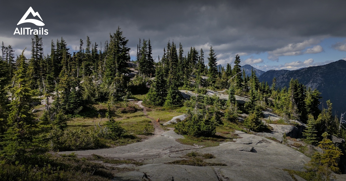 10 Best hikes and trails in Coquihalla Summit Recreation Area | AllTrails