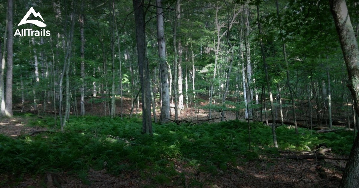 Best Trails in Green Ridge State Forest - Maryland | AllTrails
