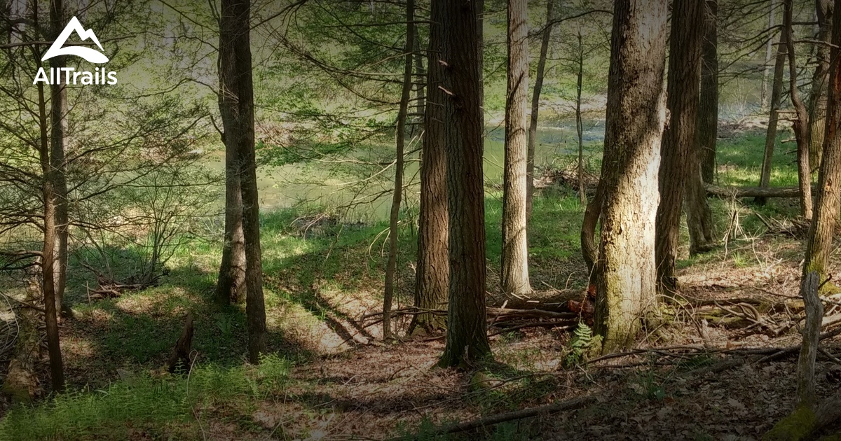 Best Trails in Green Ridge State Forest - Maryland | AllTrails
