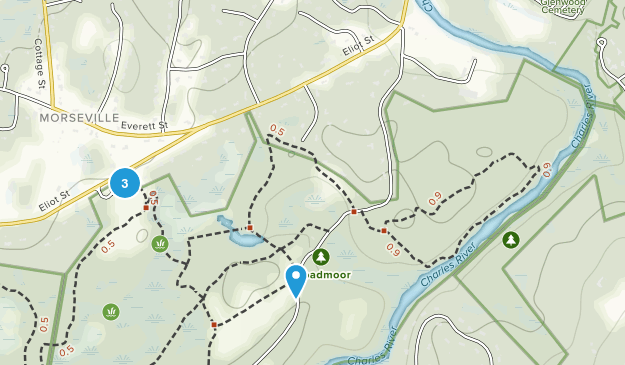 Best Trails in Broadmoor Wildlife Sanctuary - Massachusetts | AllTrails