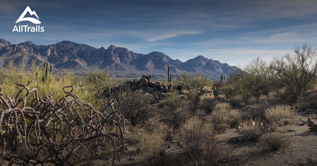 Best Trails in Honey Bee Canyon Park - Arizona | AllTrails