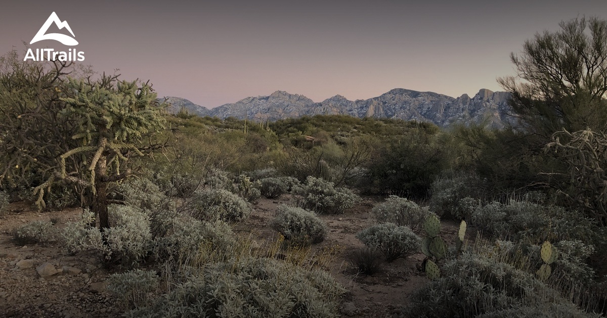Best Trails in Honey Bee Canyon Park - Arizona | AllTrails