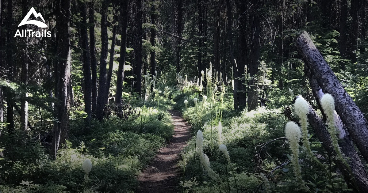 Best Trails in Colville National Forest - Washington | AllTrails