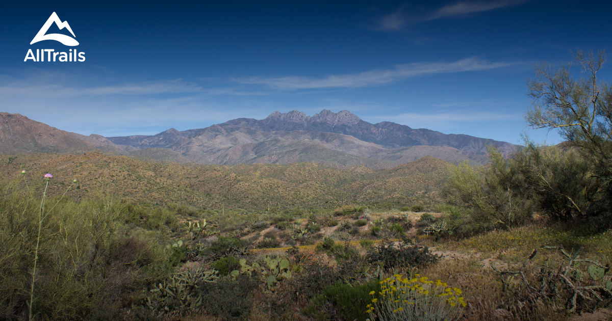 Best hikes and trails in Four Peaks Wilderness | AllTrails