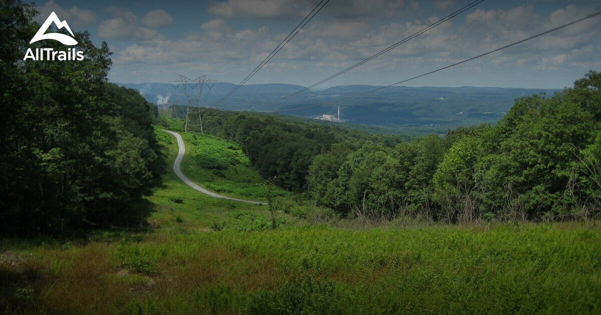 Best hikes and trails in Gallitzin State Forest | AllTrails