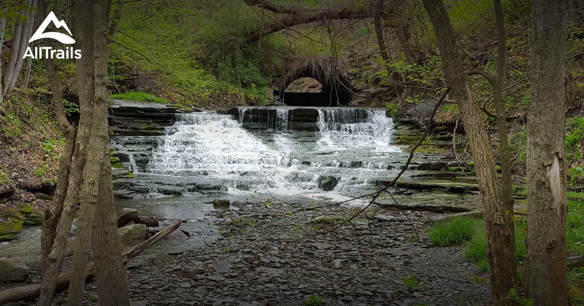 Best Trails in Genesee County Park and Forest - New York | AllTrails