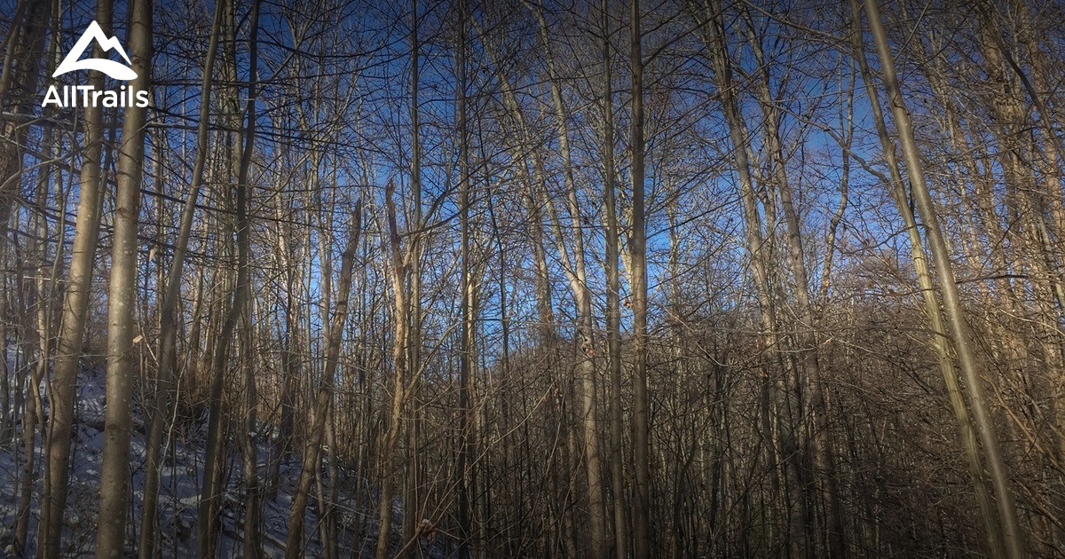 Best hikes and trails in Perry State Forest | AllTrails