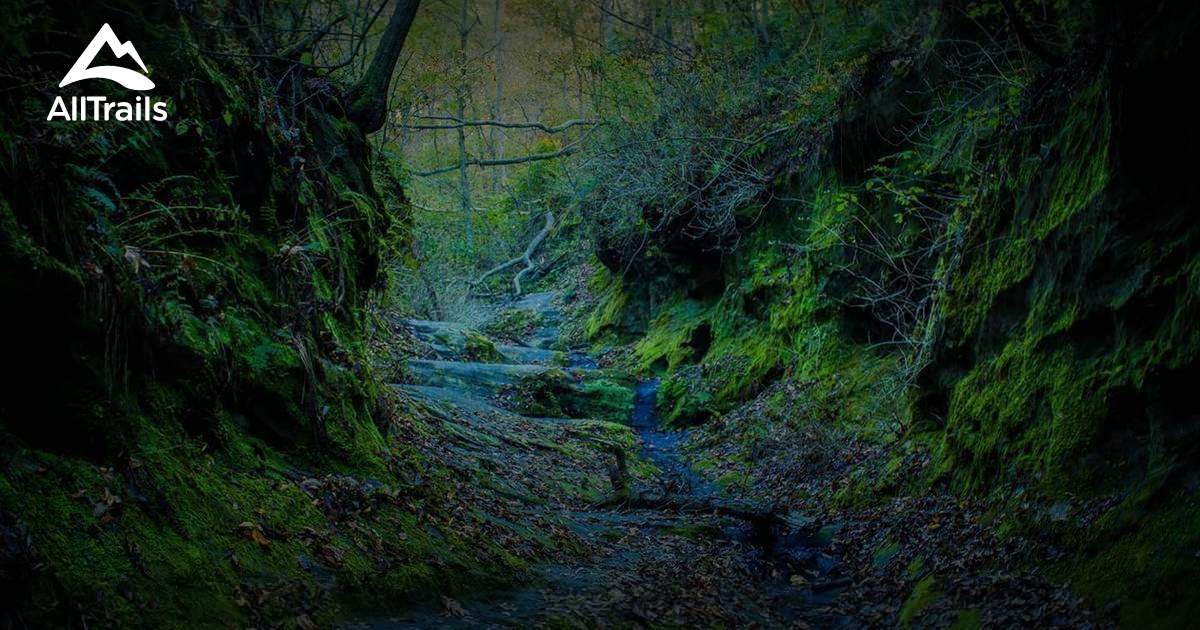 Best Trails in Shawnee National Forest | AllTrails.com