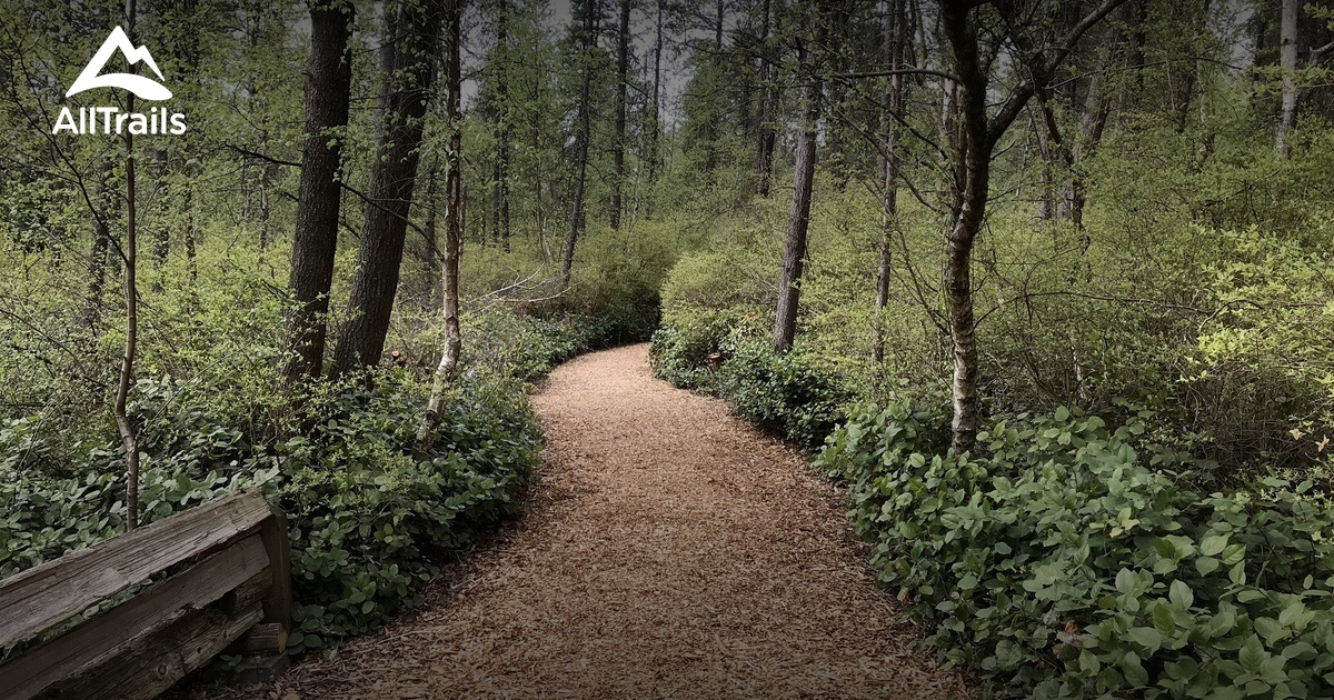 Best hikes and trails in Richmond Nature Park | AllTrails