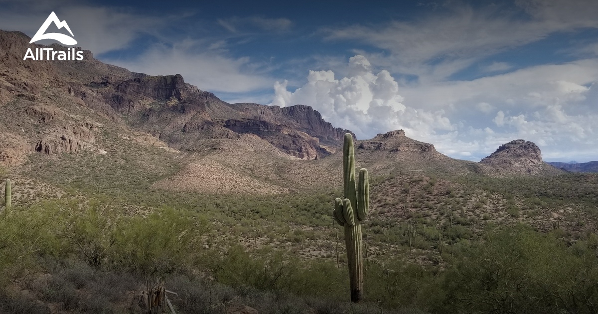 Best Trails in Superstition Wilderness - Arizona | AllTrails