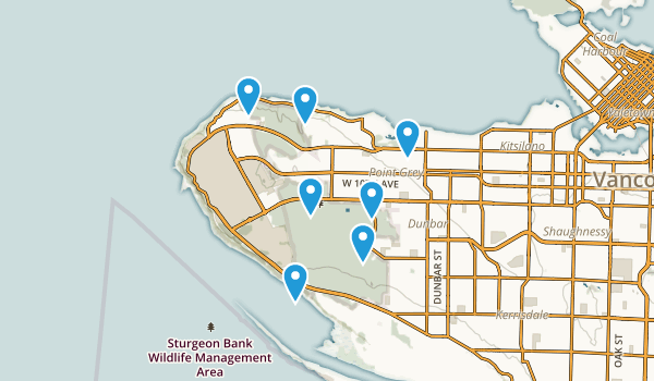 Best Trails in Pacific Spirit Regional Park - British Columbia, Canada ...