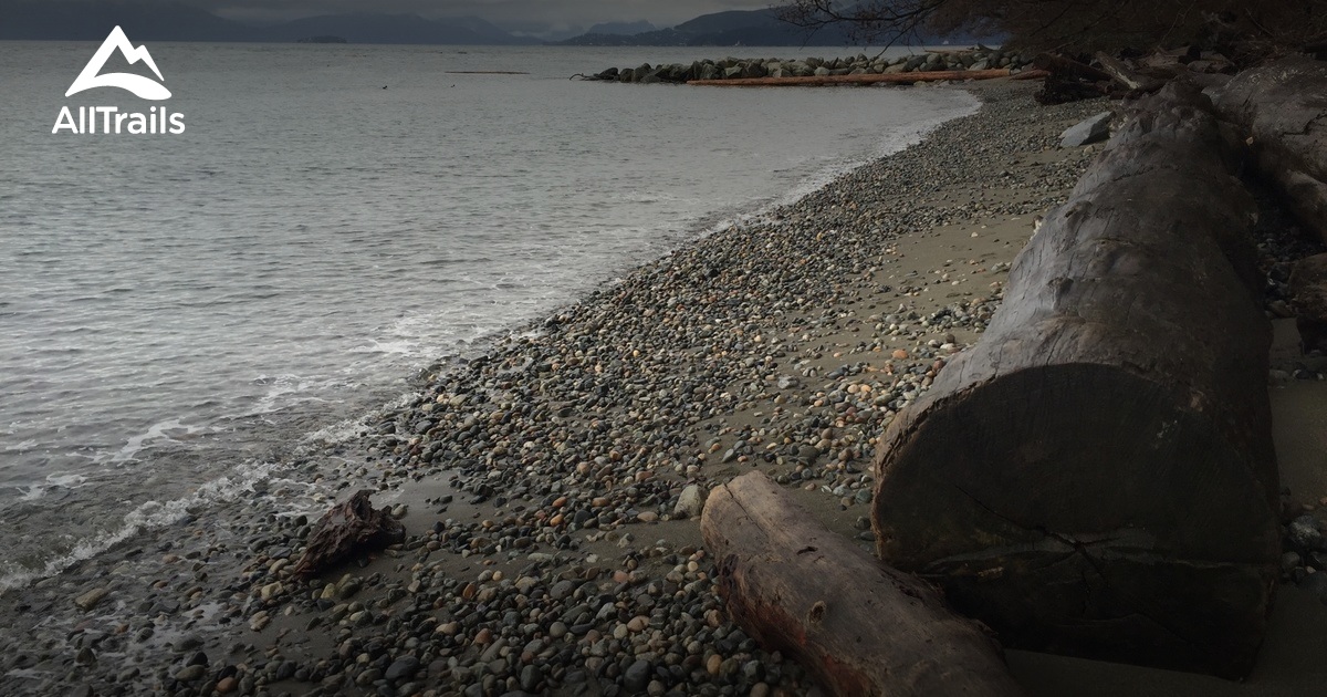 Best Trails in Pacific Spirit Regional Park - British Columbia, Canada ...