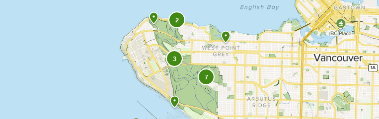 Best Trails in Pacific Spirit Regional Park - British Columbia, Canada ...