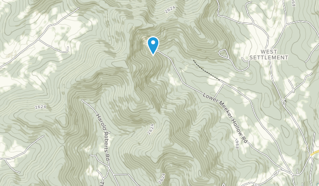 Best Trails in Plattekill State Forest - New York | AllTrails