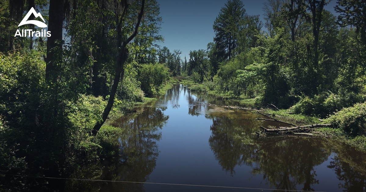 Best hikes and trails in Phinizy Swamp Nature Park | AllTrails