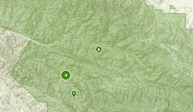 Best Trails in San Rafael Wilderness - California | AllTrails