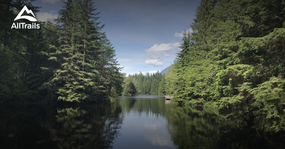Best Trails in Lynn Canyon Park - British Columbia, Canada | AllTrails