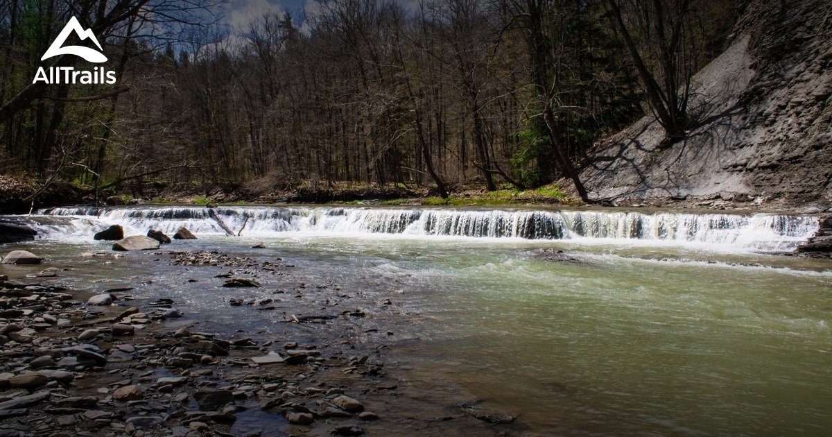Best hikes and trails in Sonyea State Forest | AllTrails