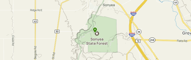 Best Hikes and Trails in Sonyea State Forest | AllTrails