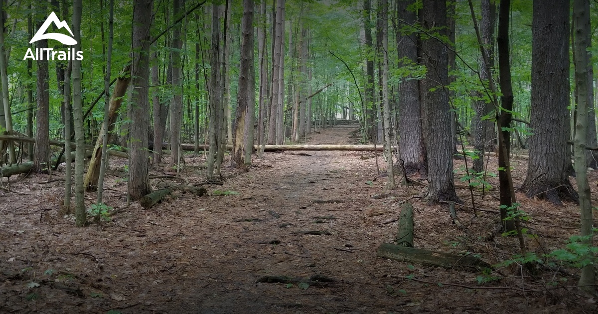 Best Trails in Holden Arboretum - Ohio | AllTrails