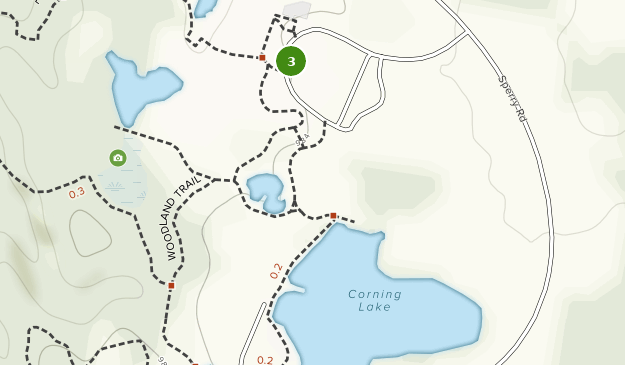 Best Trails in Holden Arboretum - Ohio | AllTrails