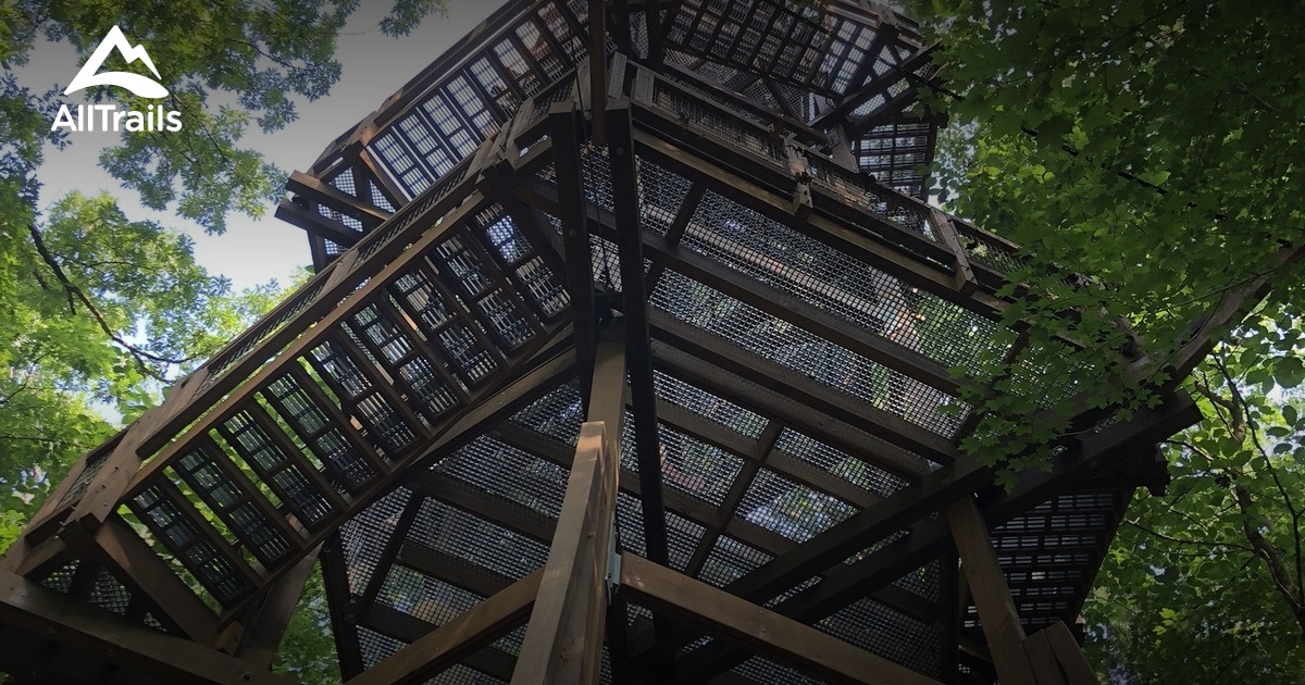 Holden Arboretum : les meilleures randonnées avec vue panoramique ...