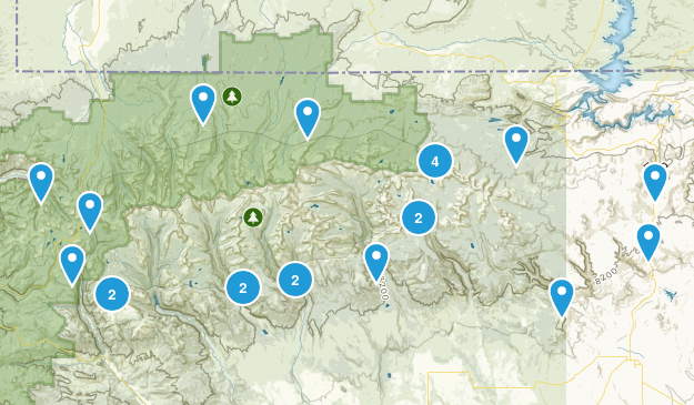 Best Trails in Ashley National Forest - Utah | AllTrails