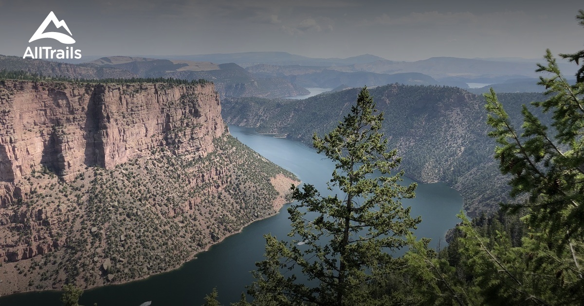 Best Trails in Ashley National Forest - Utah | AllTrails