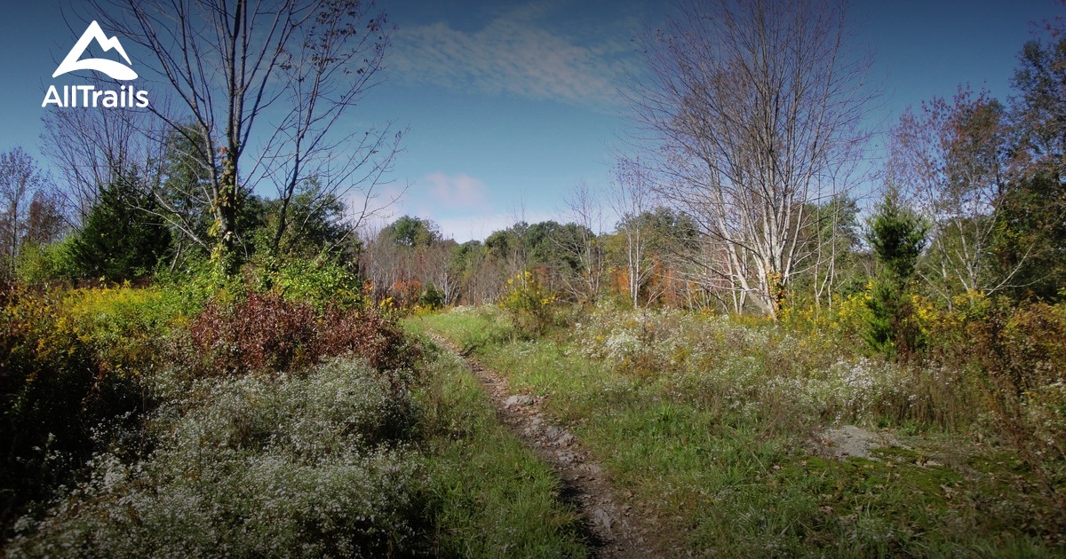 Best Trails in Stewart State Forest - New York | AllTrails