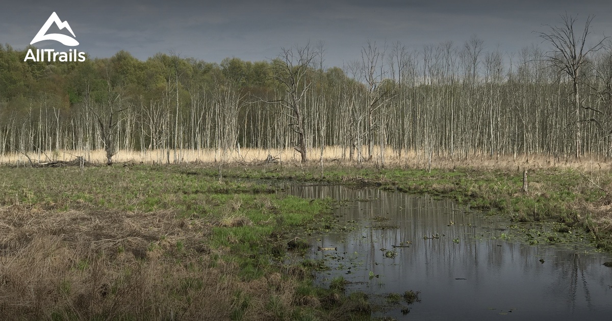 Best hikes and trails in Stewart State Forest | AllTrails