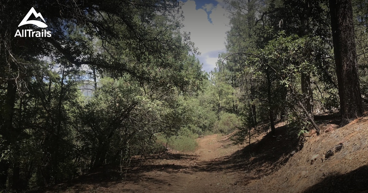 Best Trails in Sierra Ancha Wilderness Area - Arizona | AllTrails