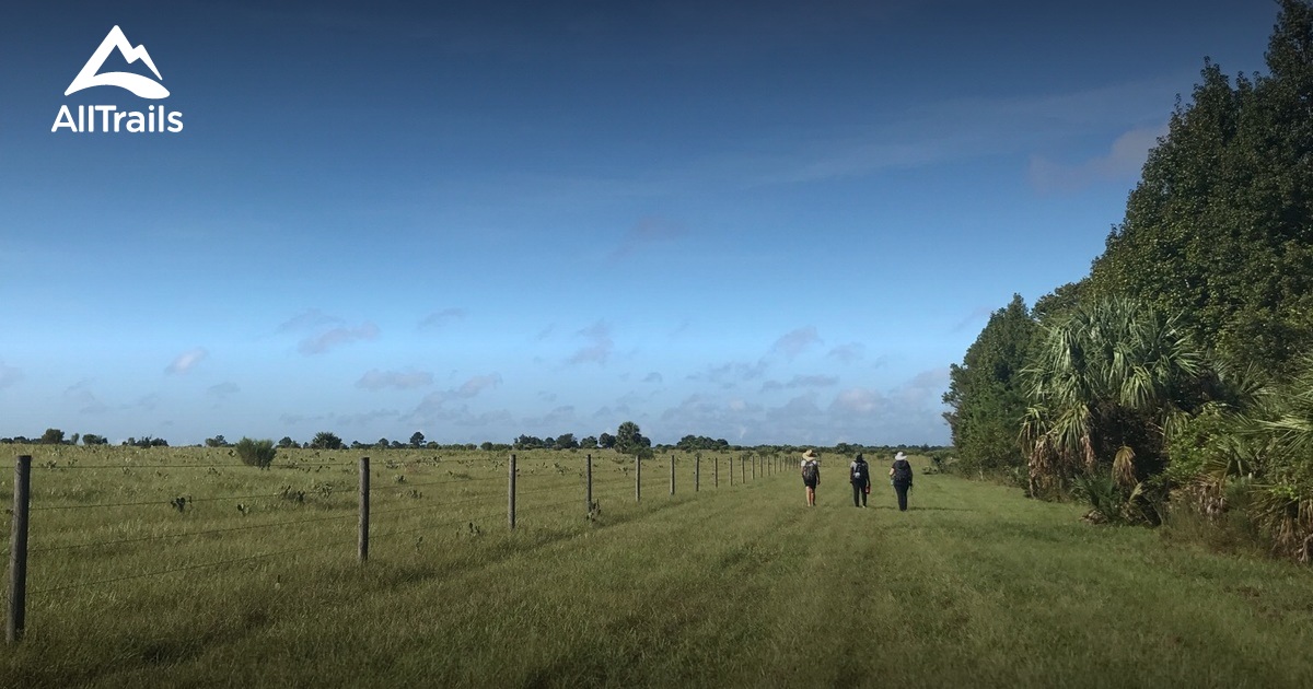 Best Trails in Lake Norris Conservation Area - Florida | AllTrails